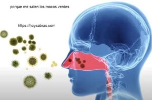 Porque Me Salen Los Mocos Verdes 2025